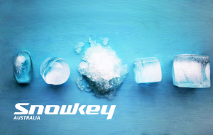 Flake vs. Cube vs. Block Ice: Which Type Is Best for Your Industry?